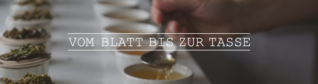 Tea Expert | Berlin Tea Academy